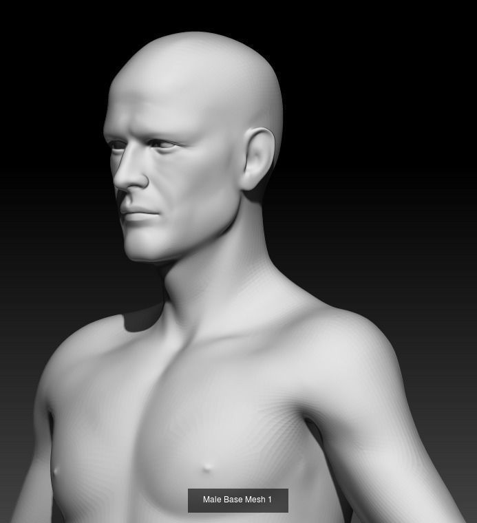 People Basemeshes big pack 3D Model Collection | CGTrader