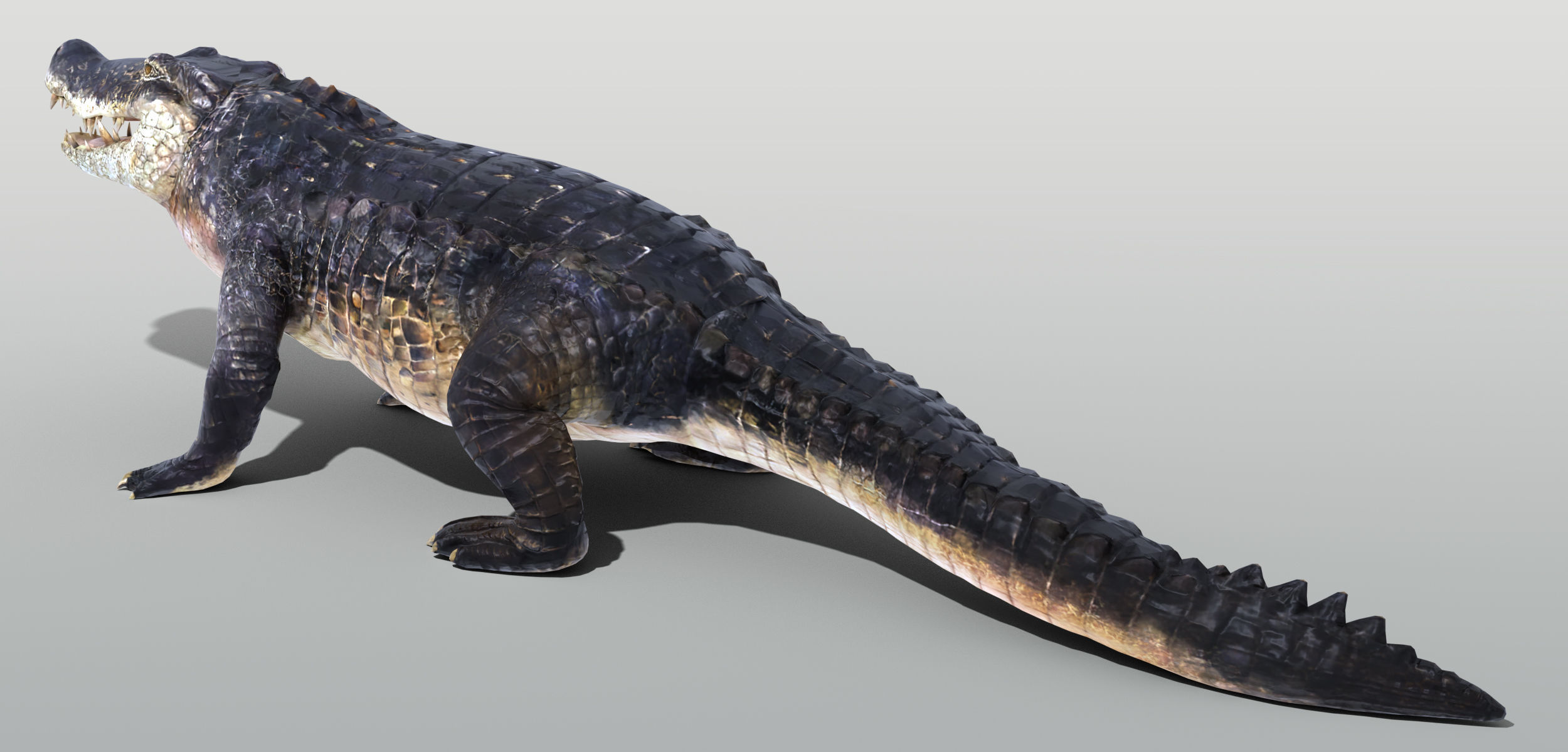 3D model Realistic Crocodile Rigged VR / AR / low-poly | CGTrader