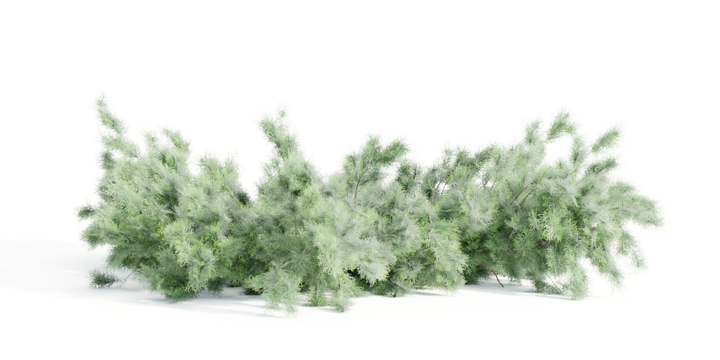 outdoor junipers collection vol 99-Blender 3D model | CGTrader