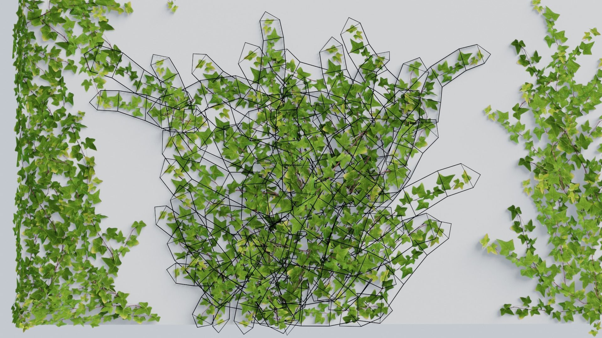 3D model LowPoly Ivy VR / AR / low-poly | CGTrader