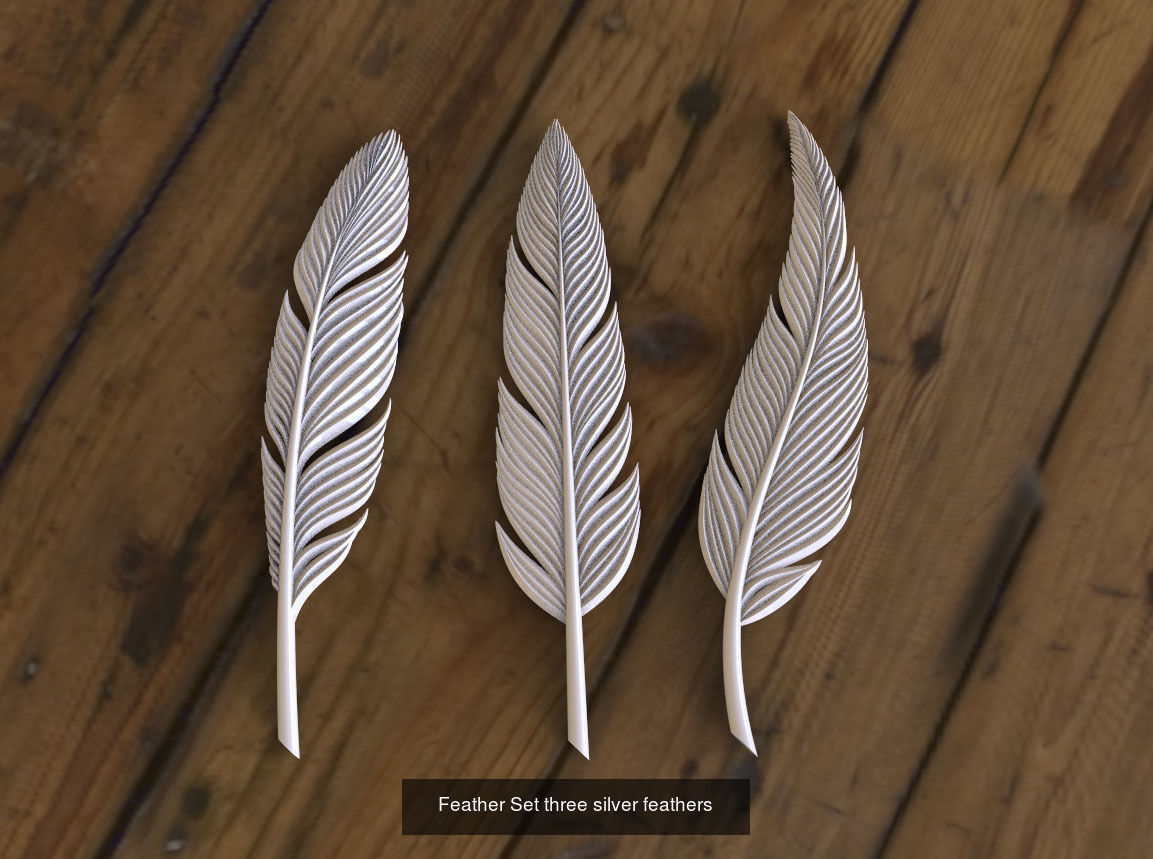 feathers 3D Model Collection 3D printable | CGTrader