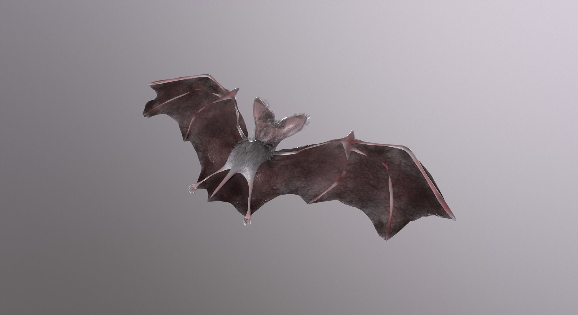 3D model Bat Animated VR / AR / low-poly | CGTrader