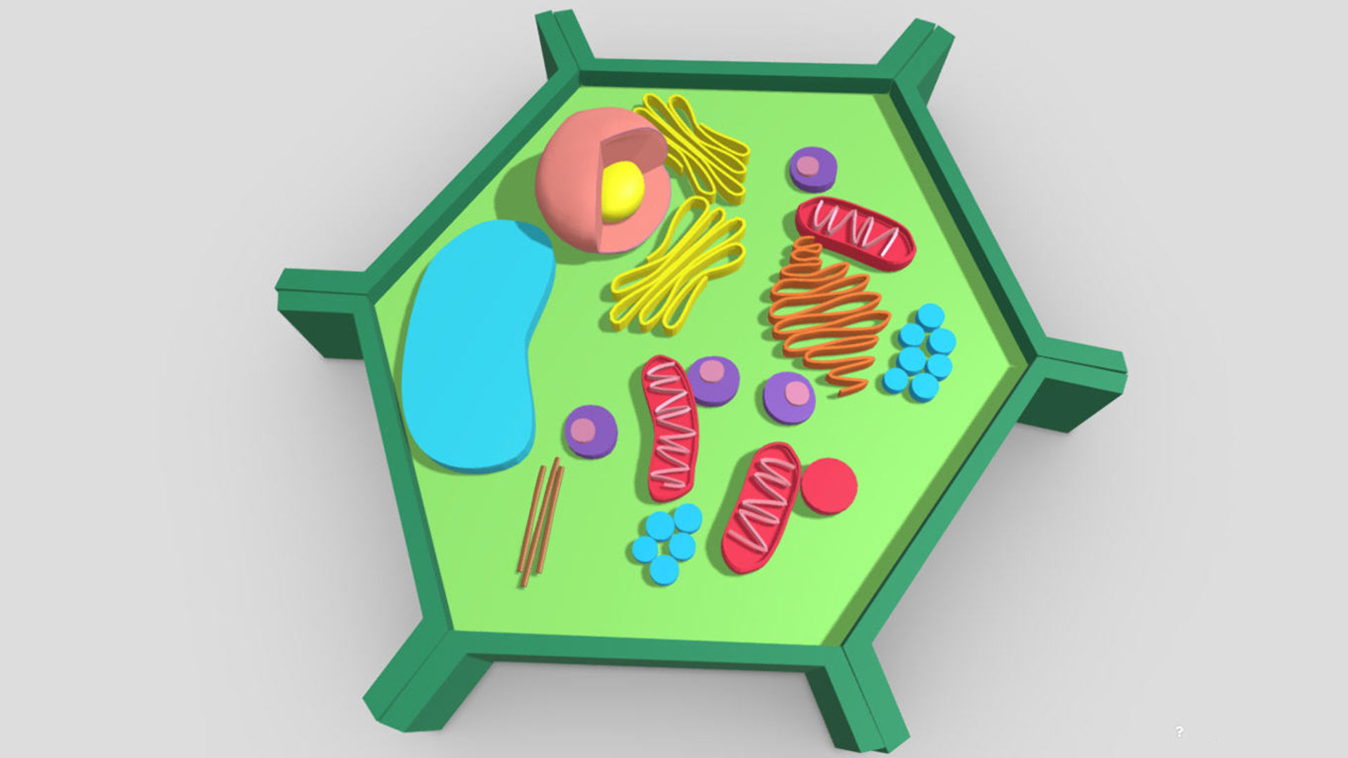 Plant cell 3D model | CGTrader