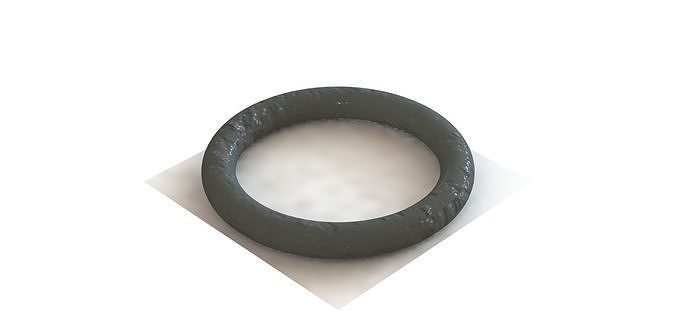 O Ring Vedabras 13696 3D model | CGTrader