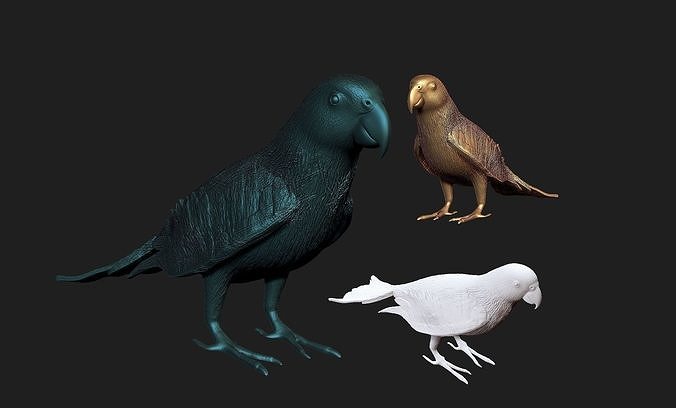 Parrot 3D model 3D printable | CGTrader
