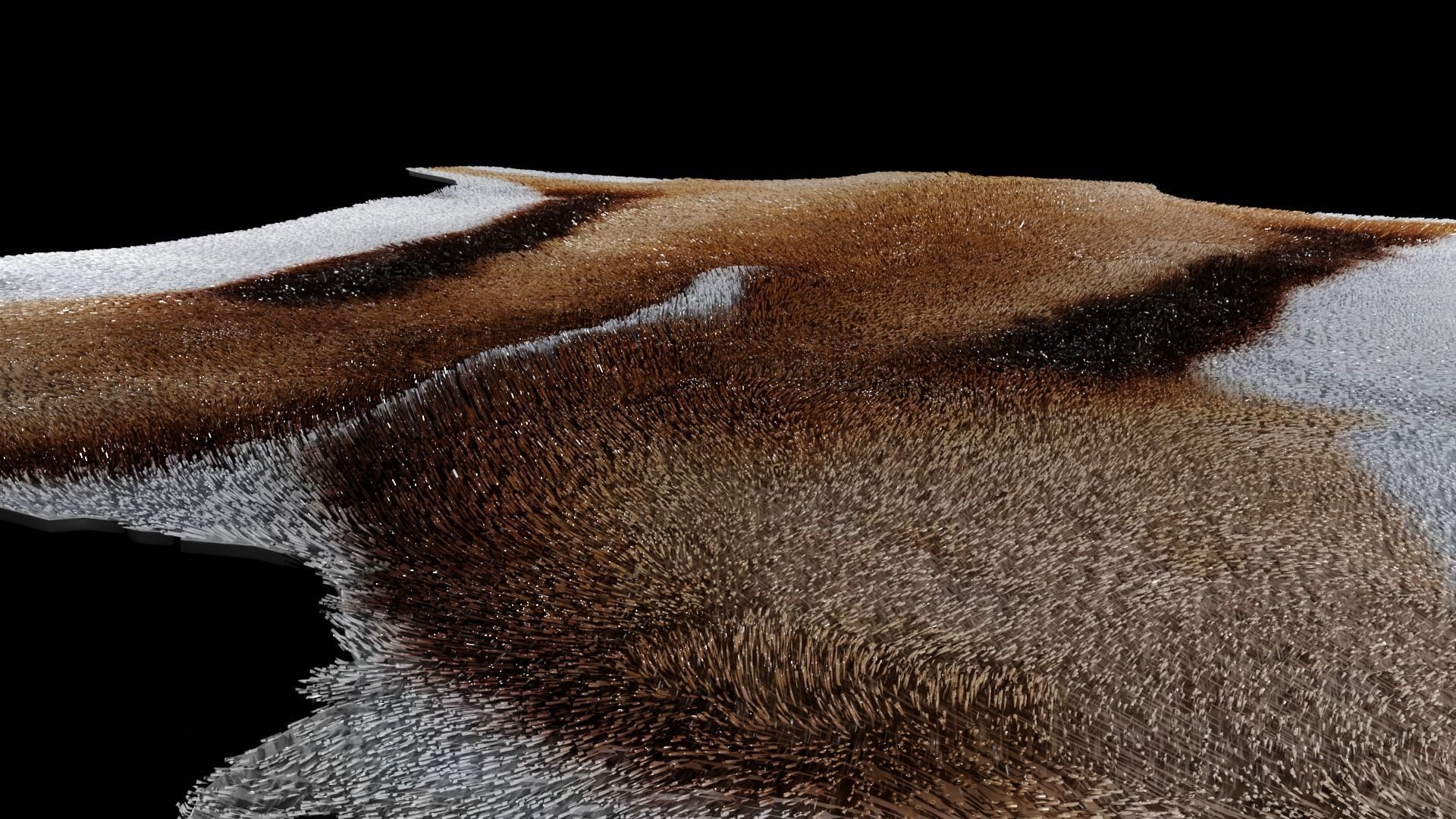 Springbok Hide Rug 3D model | CGTrader