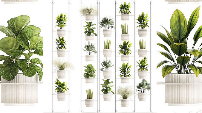Hanging Shelf On Ropes Potted Plants Raphis Palm Ficus 1419 3D model ...