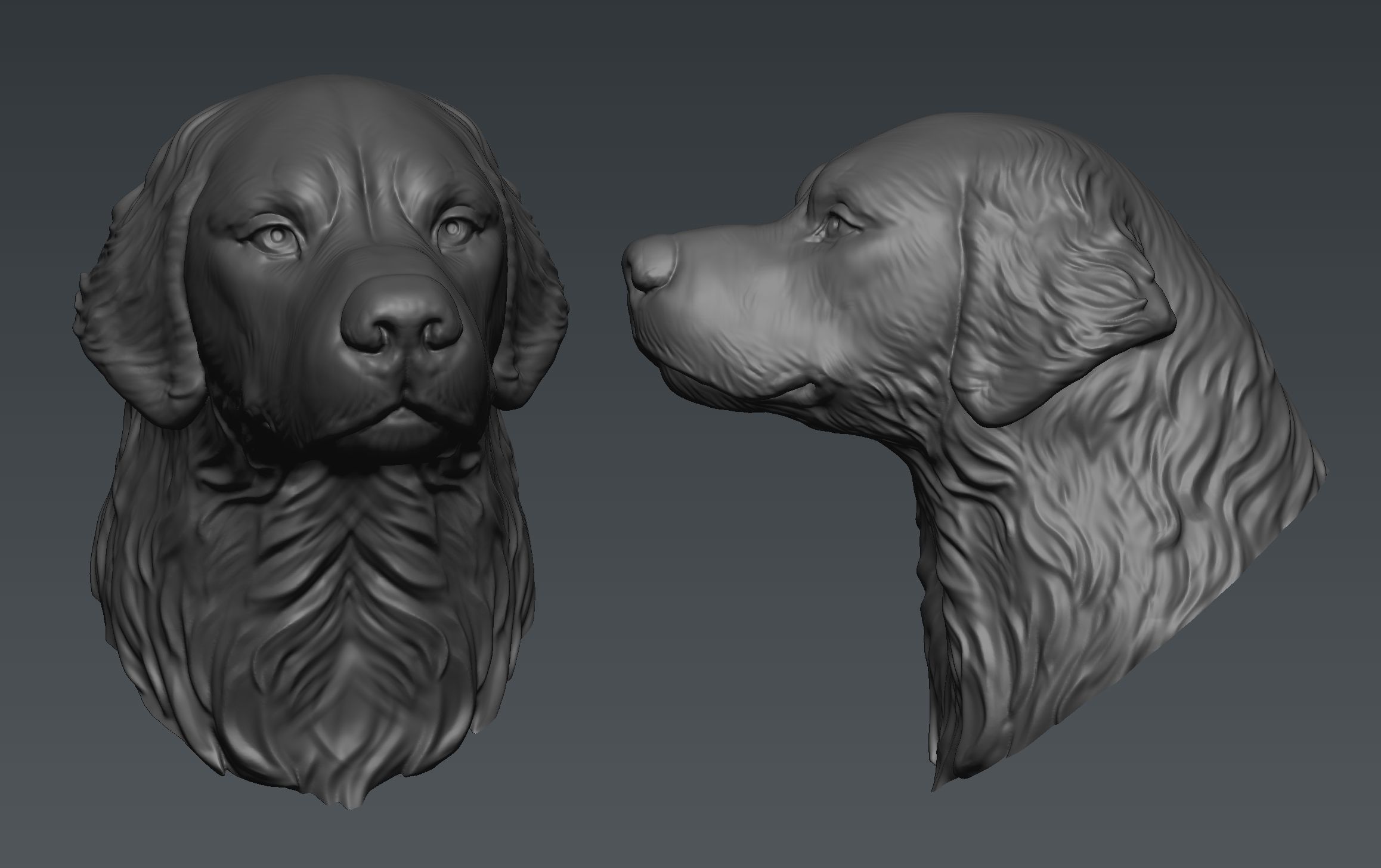 Golden Retriever 3D model 3D printable | CGTrader