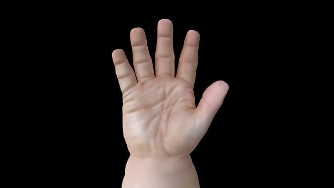 HAND12 Baby counting animation 3D model animated rigged | CGTrader