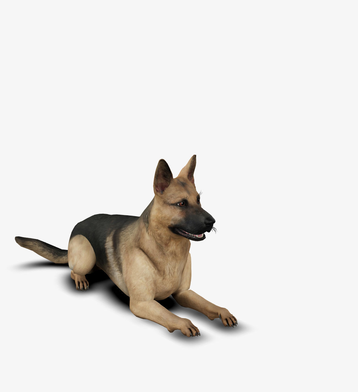 3D model dog German Shepherd VR / AR / low-poly | CGTrader