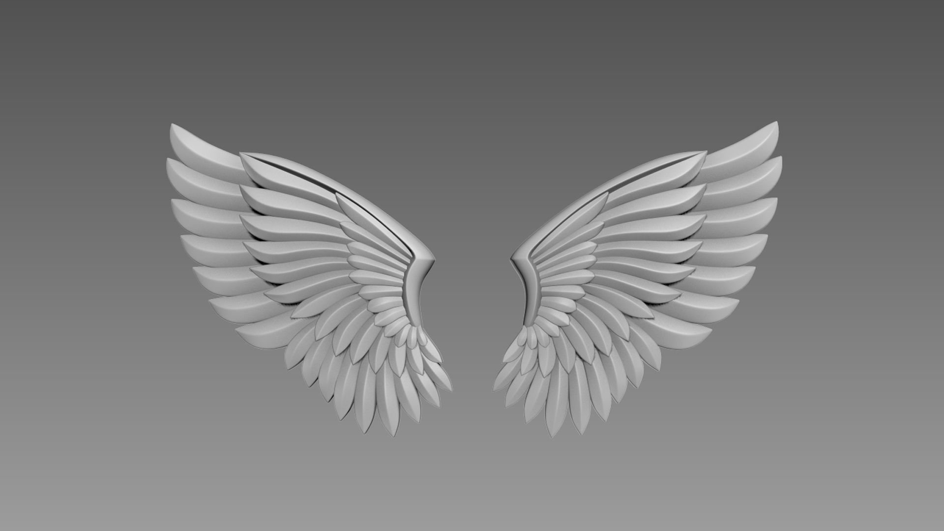Wings relief 3D model | CGTrader