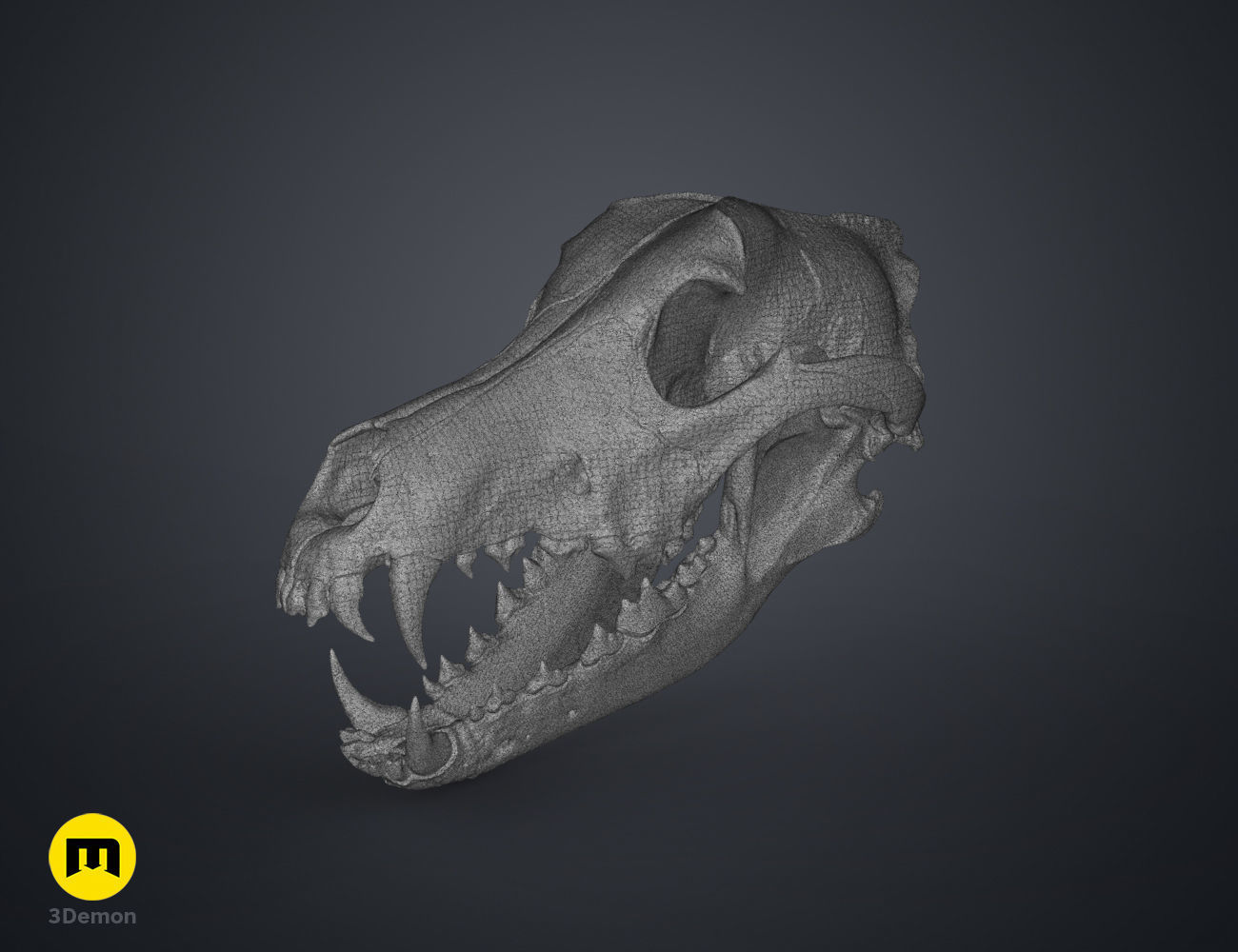 Realistic Animal Skull Collection 3D model 3D printable | CGTrader