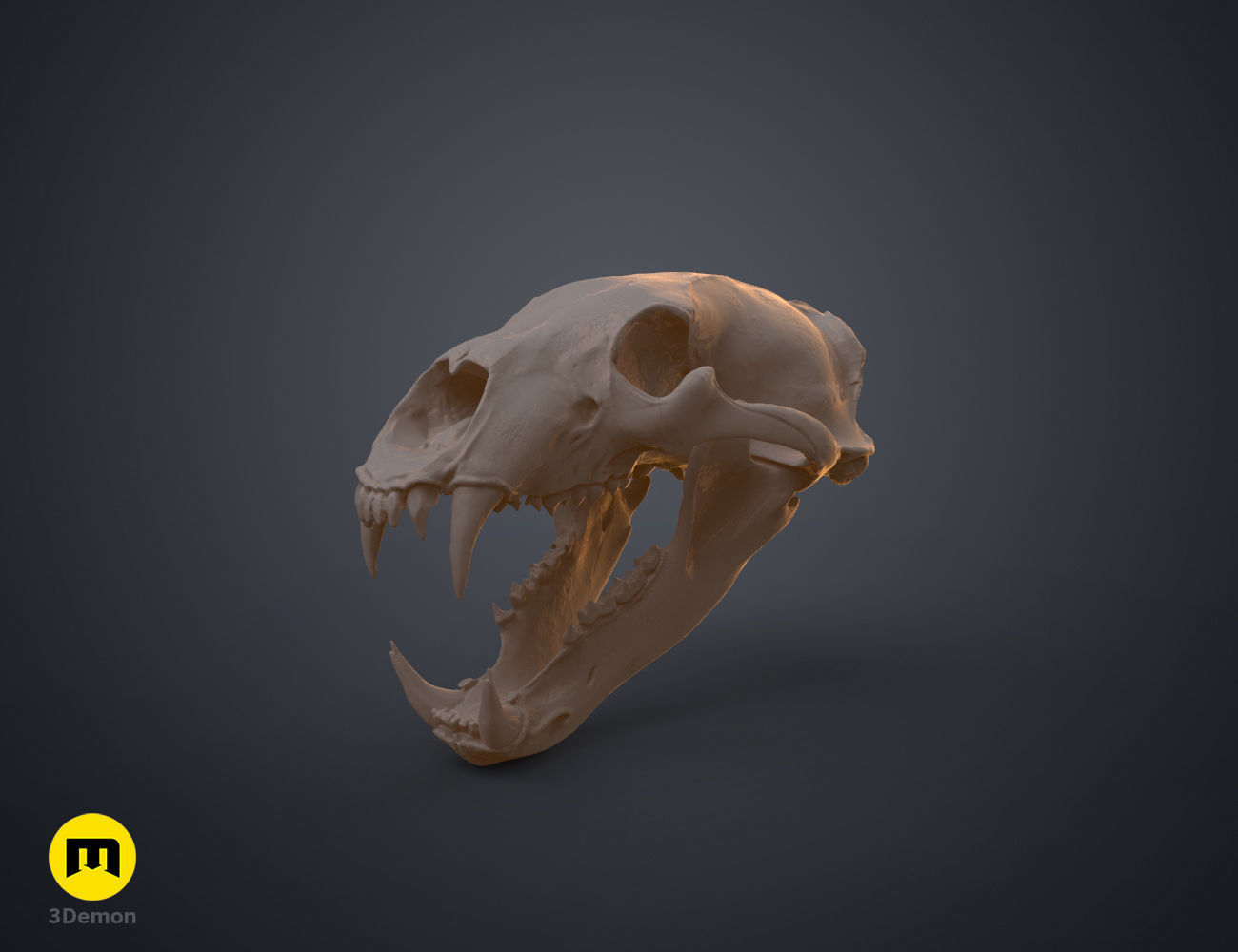 Realistic Animal Skull Collection 3D model 3D printable | CGTrader
