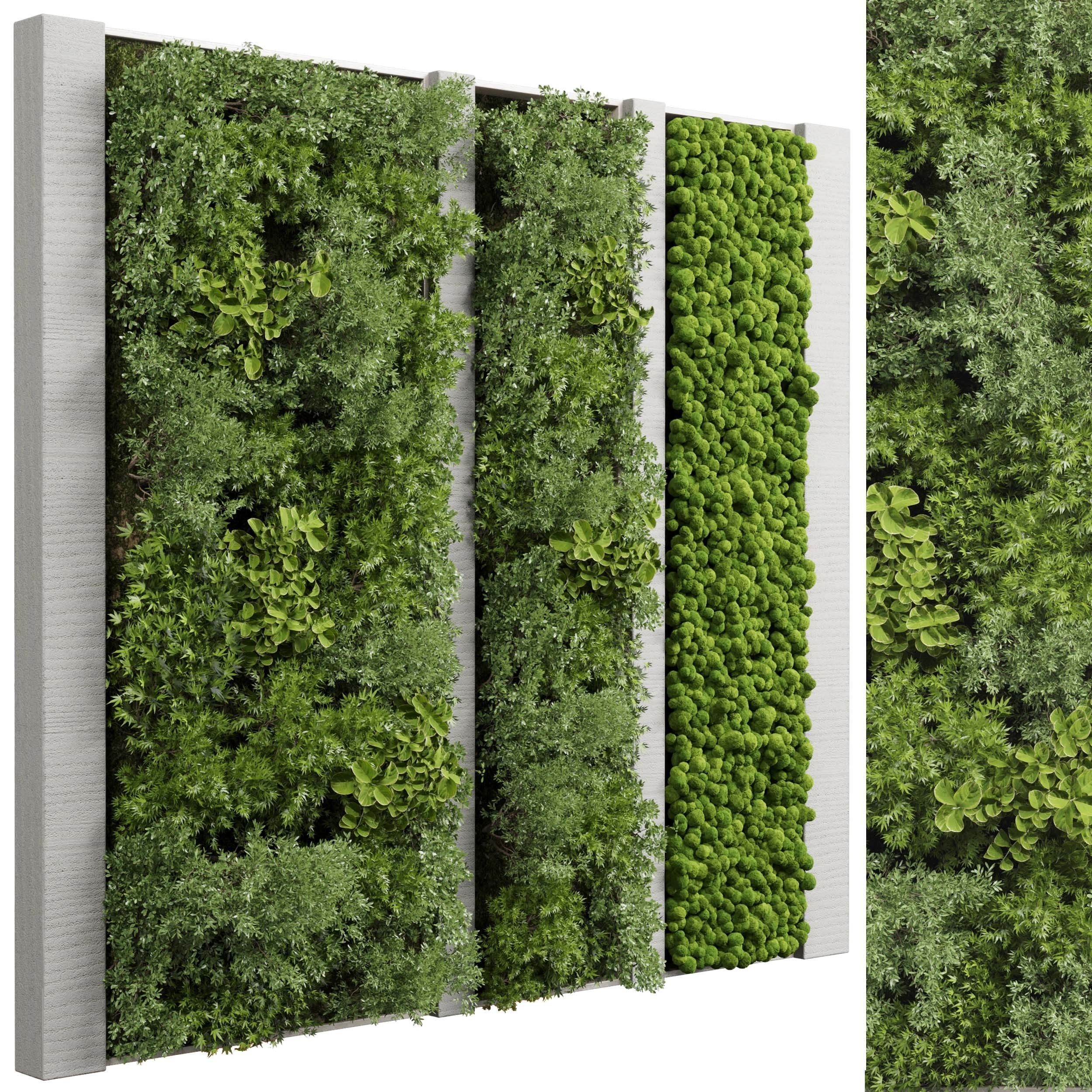 3D model Concrete frame Vertical plant and moss garden VR / AR / low ...