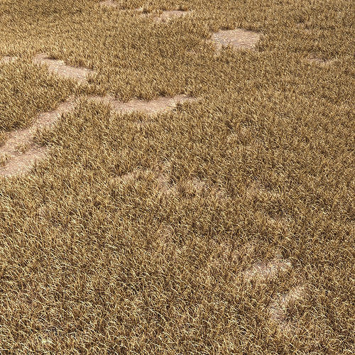 3D model meadow autumn VR / AR / low-poly | CGTrader