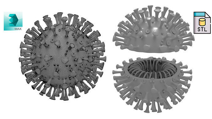 Printable Coronavirus Solid and Cross-Section 3D model 3D printable ...