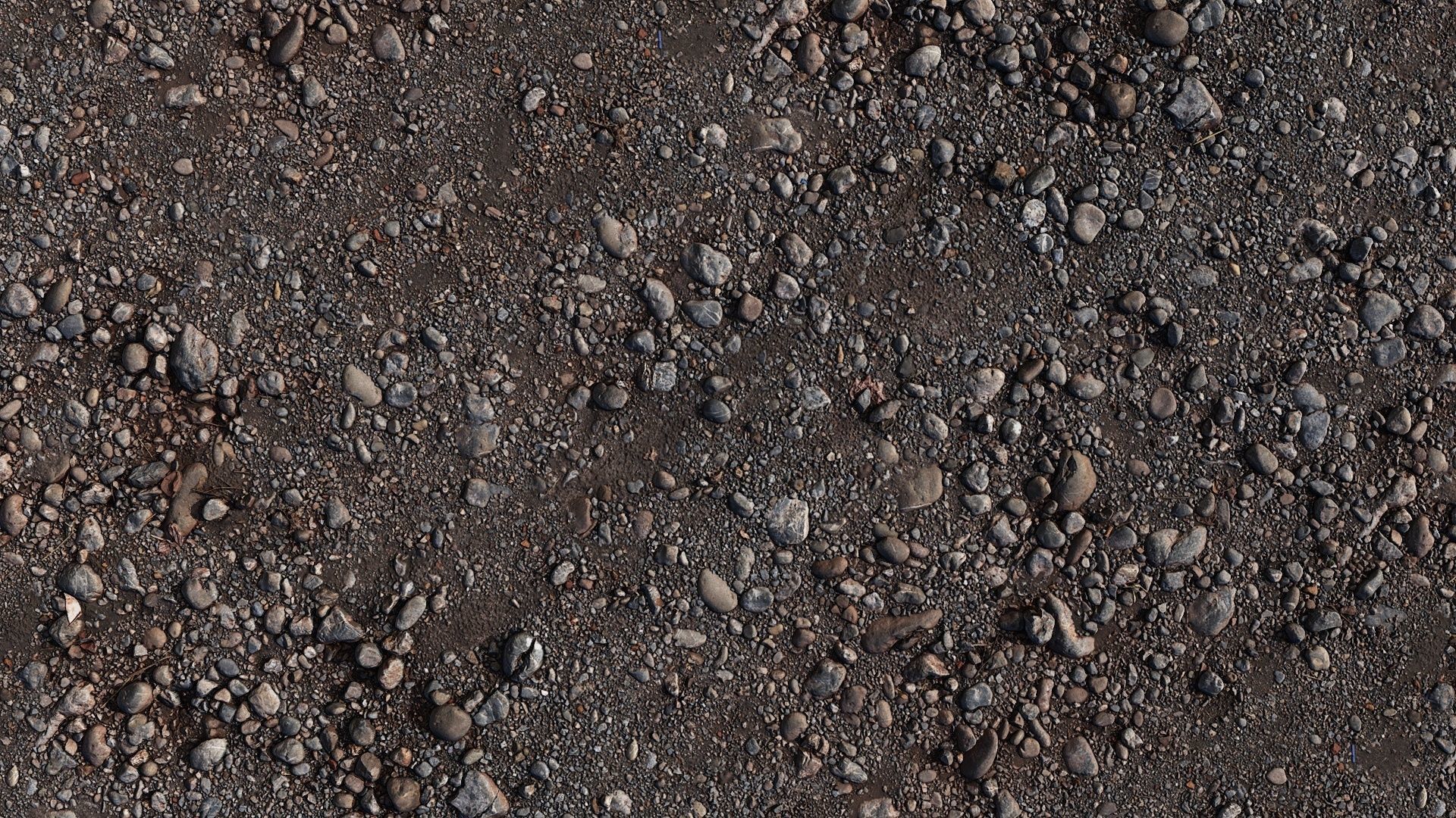 Ground Terrain Gravel and Pebble Stone PBR Texture | CGTrader