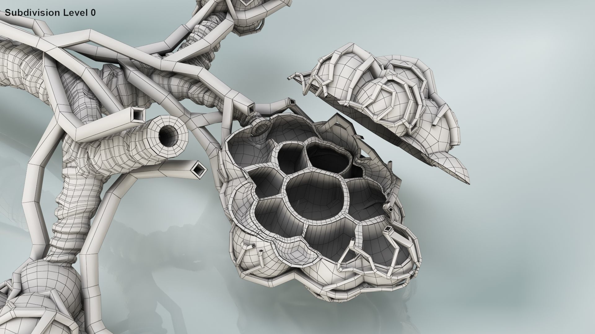 Alveoli with CrossSection 3D model | CGTrader