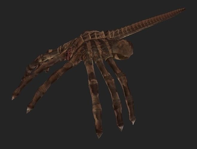 3D model Alien Face Hugger Rigged VR / AR / low-poly | CGTrader