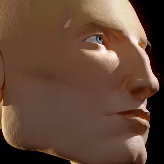 Modified Scott - Realistic Male Human Head 3D Model 3D model | CGTrader