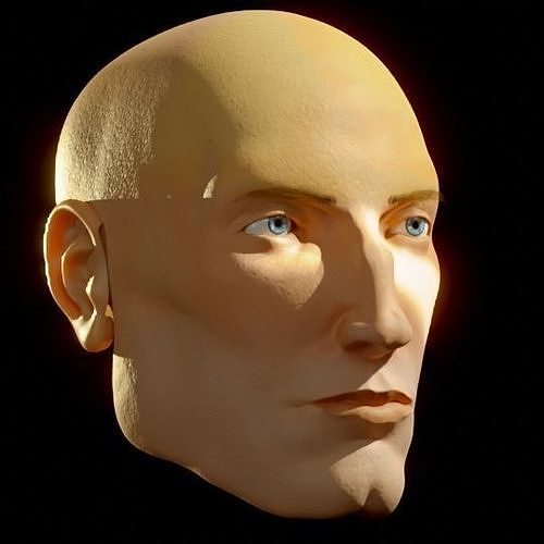 Modified Scott - Realistic Male Human Head 3D Model 3D model | CGTrader