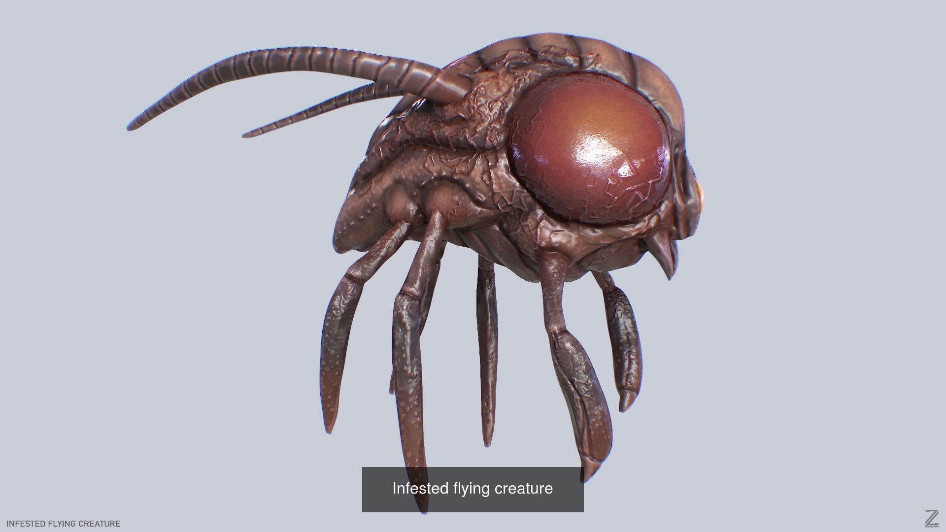 Infested flying creature collection VR / AR / low-poly | CGTrader