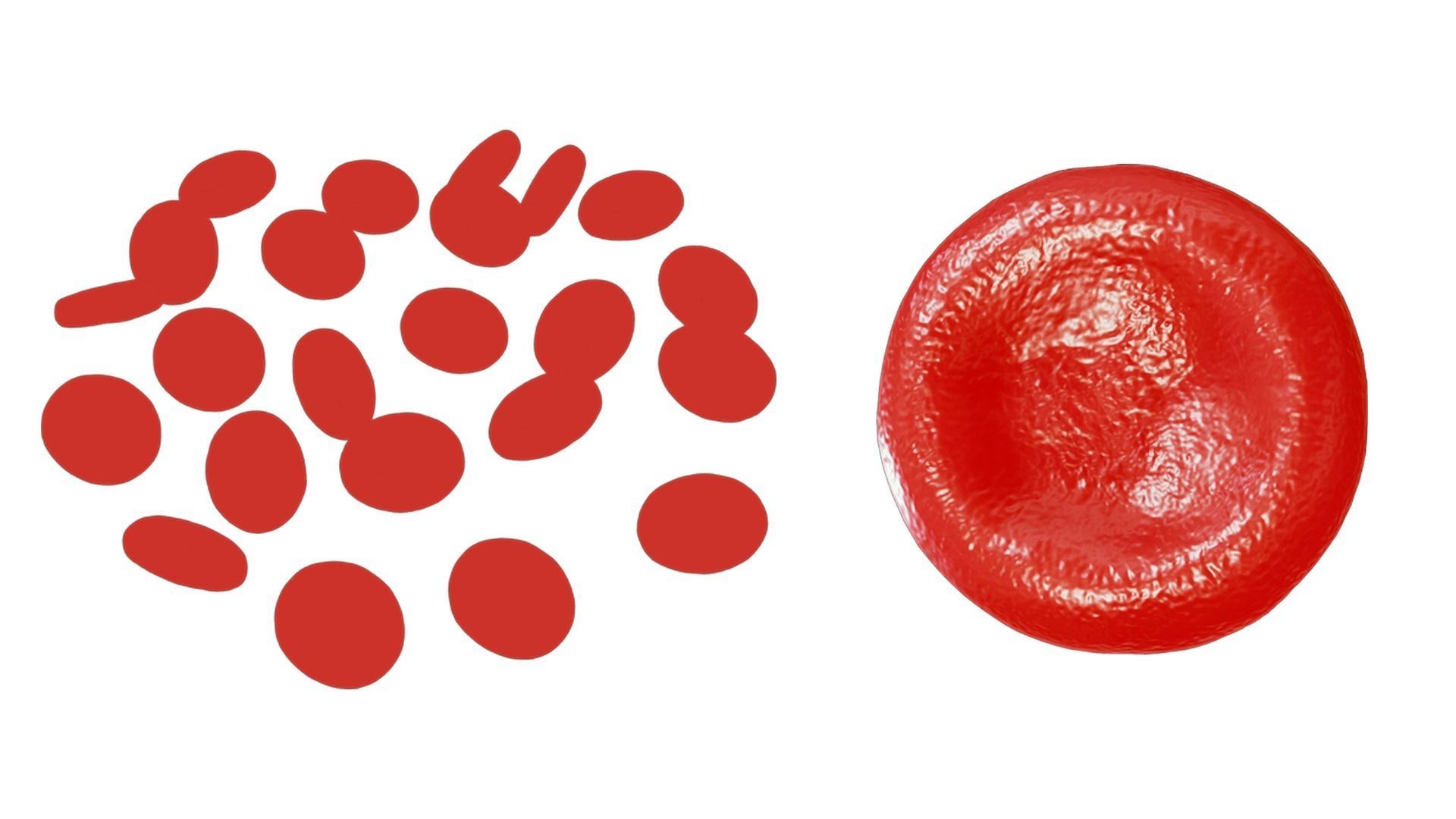 Normal Blood Cells vs Anemia 3D model | CGTrader