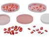 Normal Blood Cells vs Anemia 3D model | CGTrader