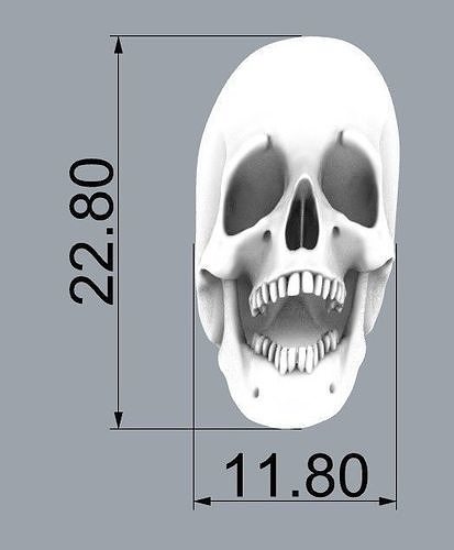 FULL 3D SCULL 3D model 3D printable | CGTrader