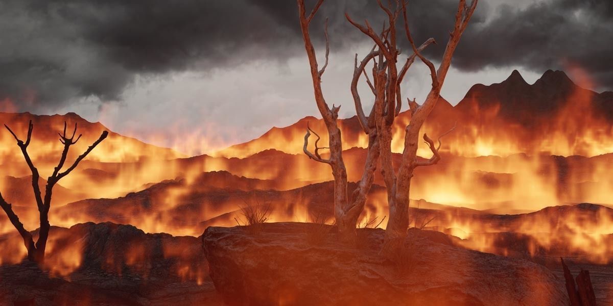 VDB Area Fire 200 Frames - Loopable 3D model animated | CGTrader