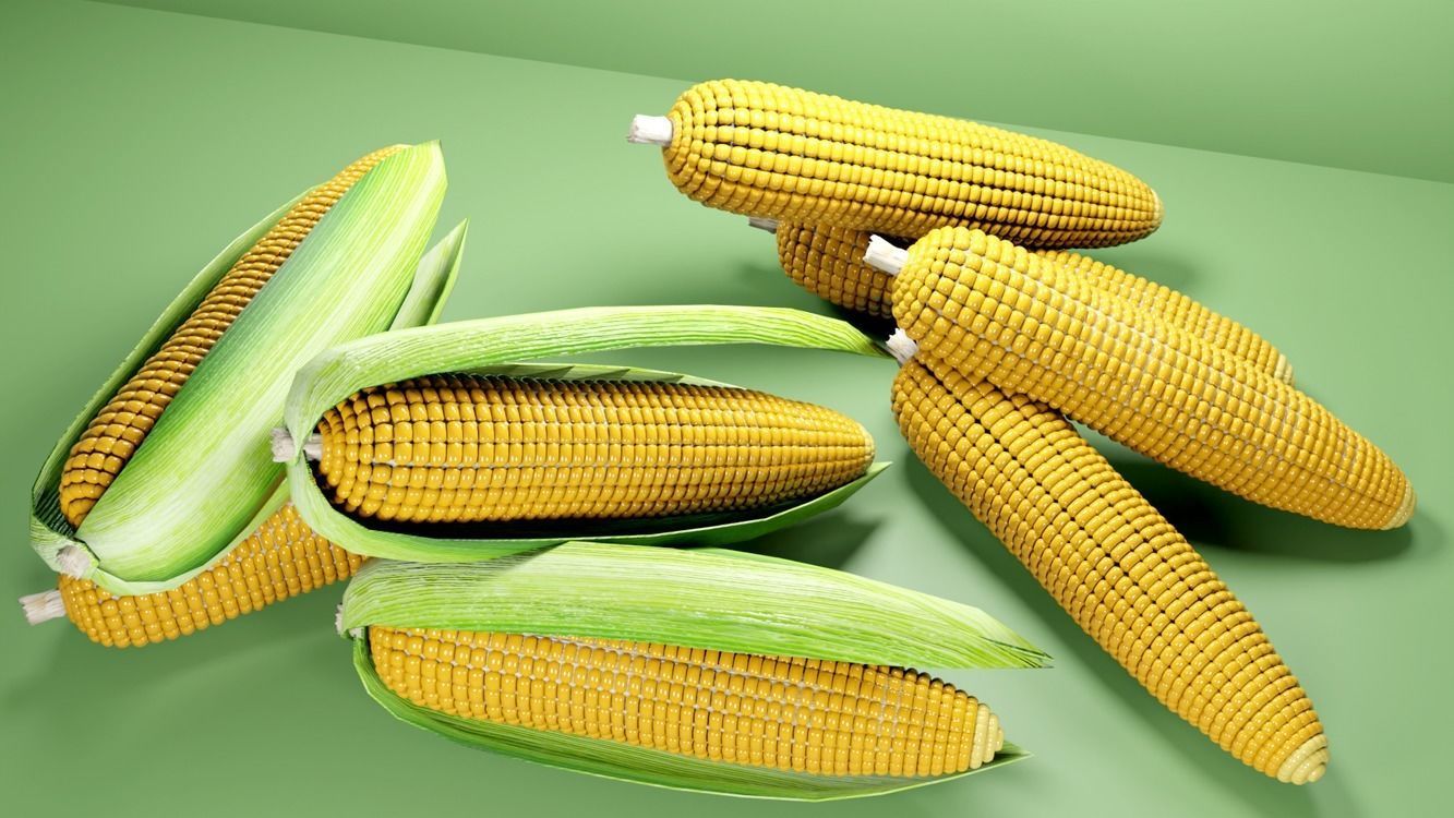 3D model Photorealistic Fresh corn VR / AR / low-poly | CGTrader