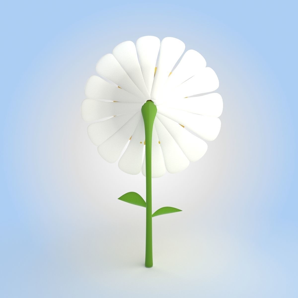 Daisy flower 3D model | CGTrader