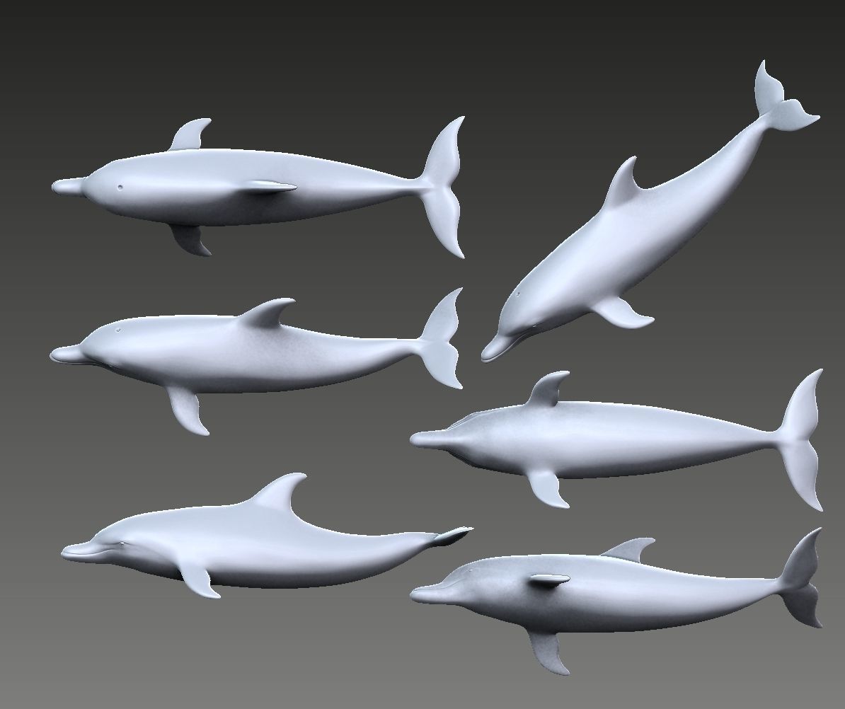 Swimming Dolphin 3D model 3D printable | CGTrader