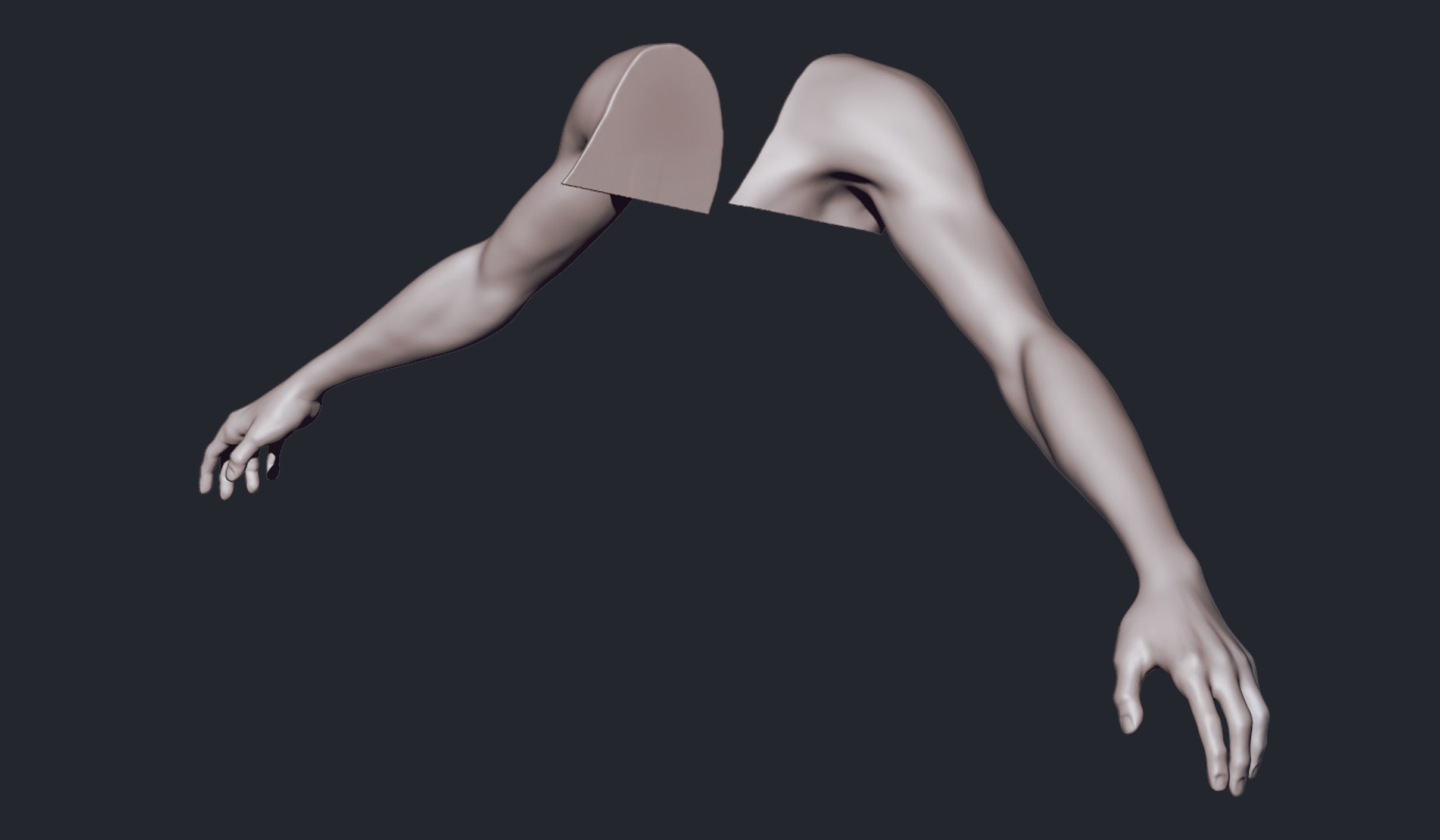 Female arms hands 3D model | CGTrader