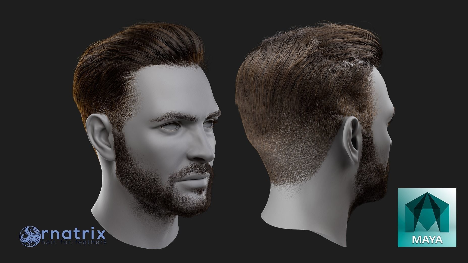 3D model Male hair Asset - Ornatrix groom in Maya and Alembic groom VR ...