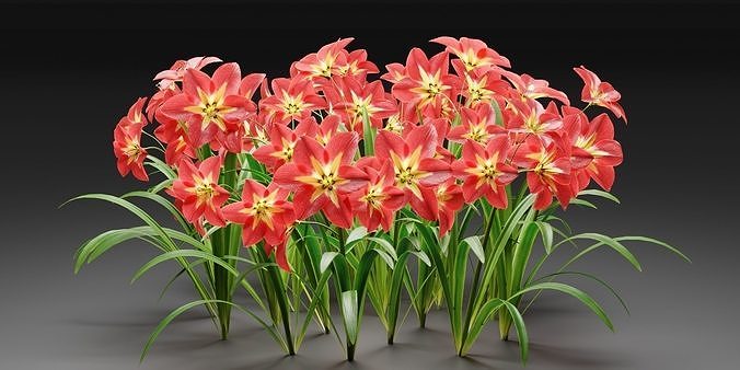 Amaryllis flowers vol 128-Blender 3D model | CGTrader