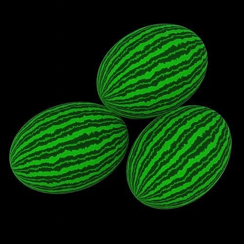 Procedural Watermelon Material Texture | CGTrader