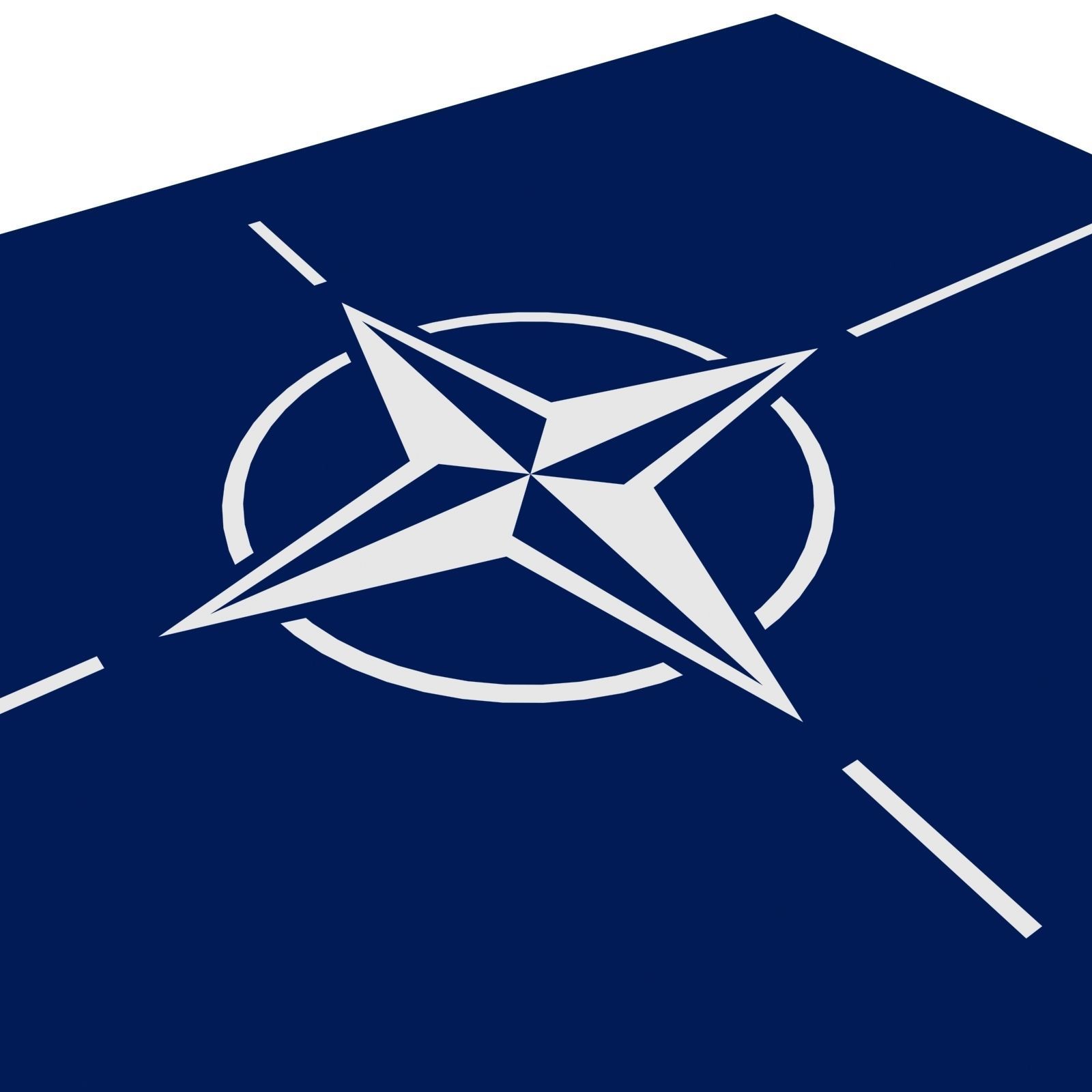 3D model Nato Flag 3D Model VR / AR / low-poly | CGTrader