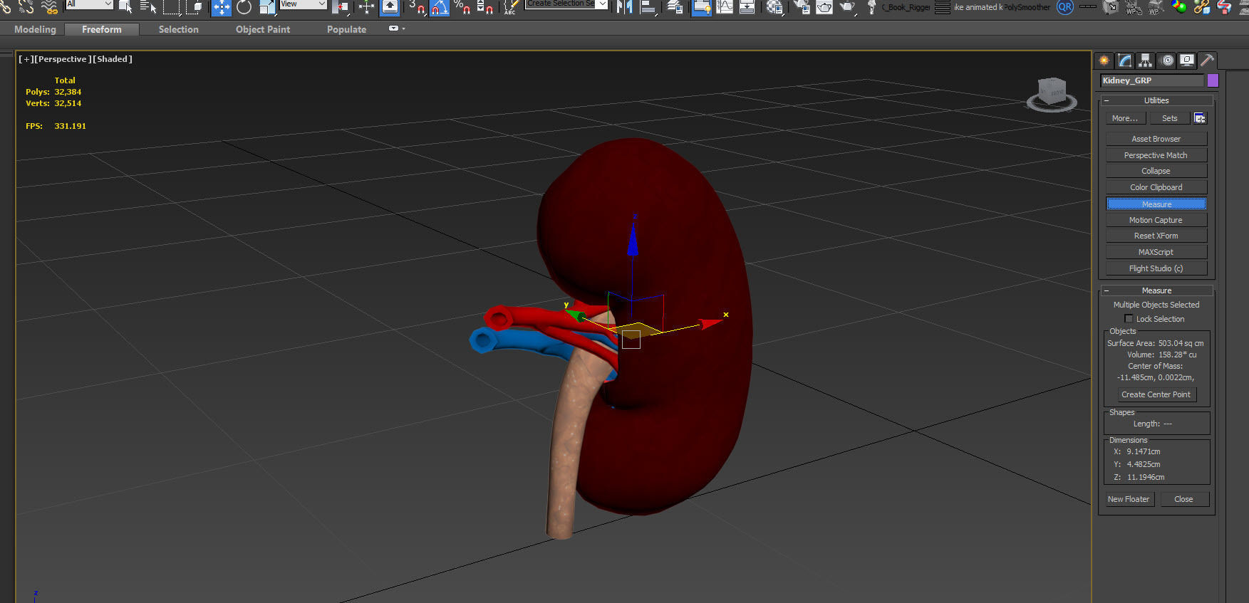 3D model Kidney Anatomy VR / AR / low-poly | CGTrader