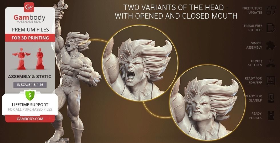 Lion-O from Thundercats STL files for 3d printing by CG Pyro 3D model ...
