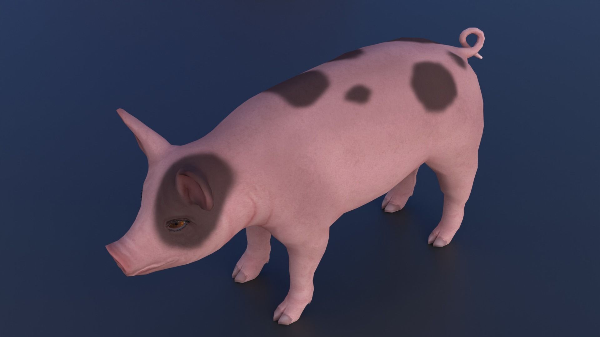 3D model Pig Collection 3D models VR / AR / low-poly | CGTrader