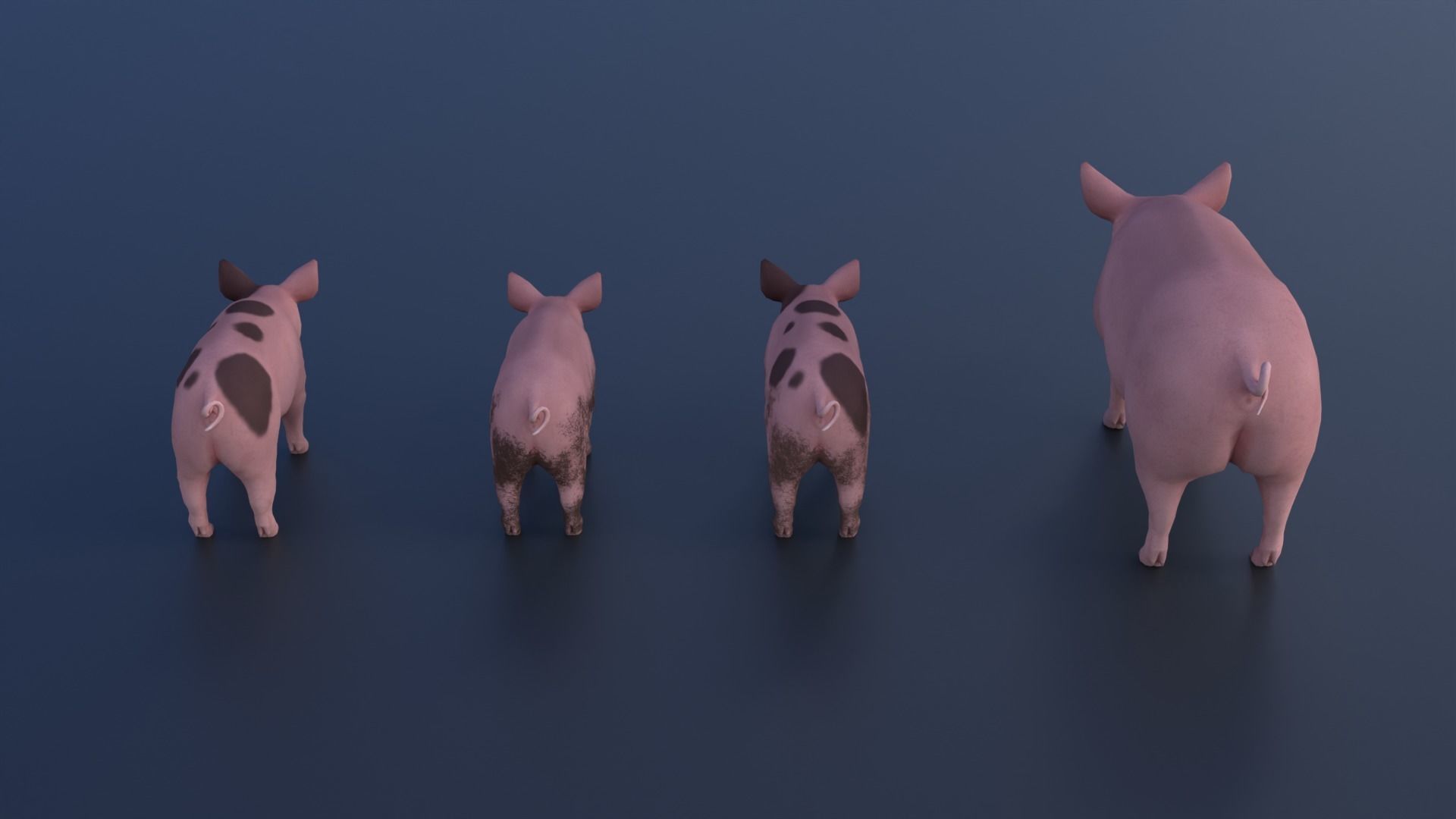 3D model Pig Collection 3D models VR / AR / low-poly | CGTrader