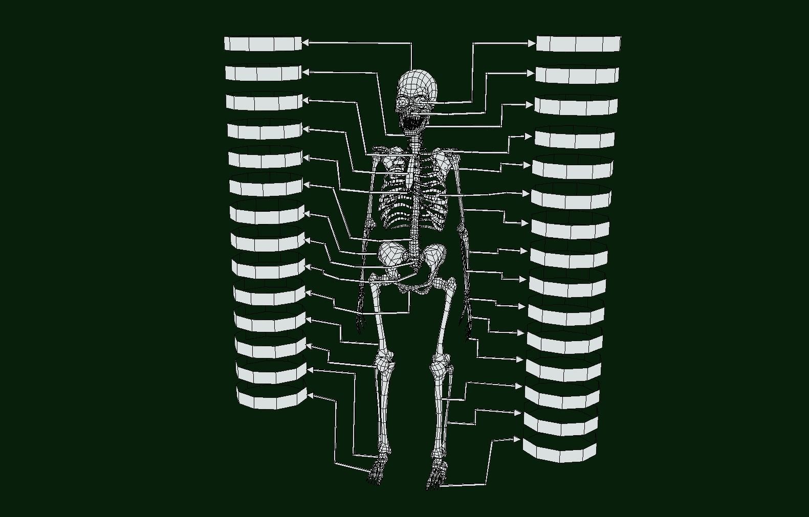 3D model Skeleton - Names of Human Skeleton VR / AR / low-poly | CGTrader