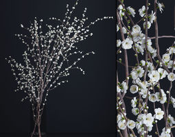 Cherry blossom 3D Models | CGTrader