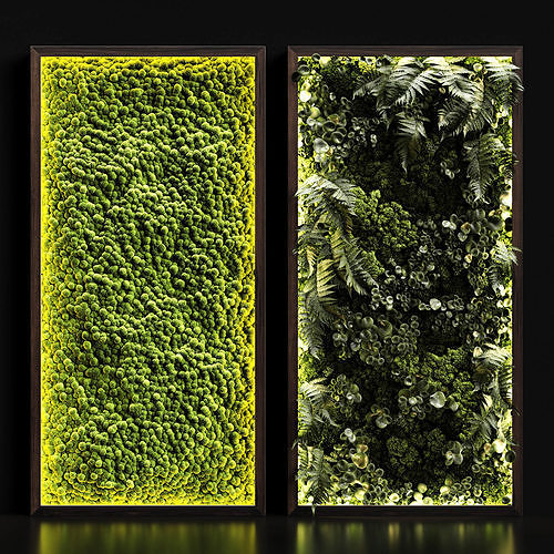 Phytowalls collection 3D model | CGTrader