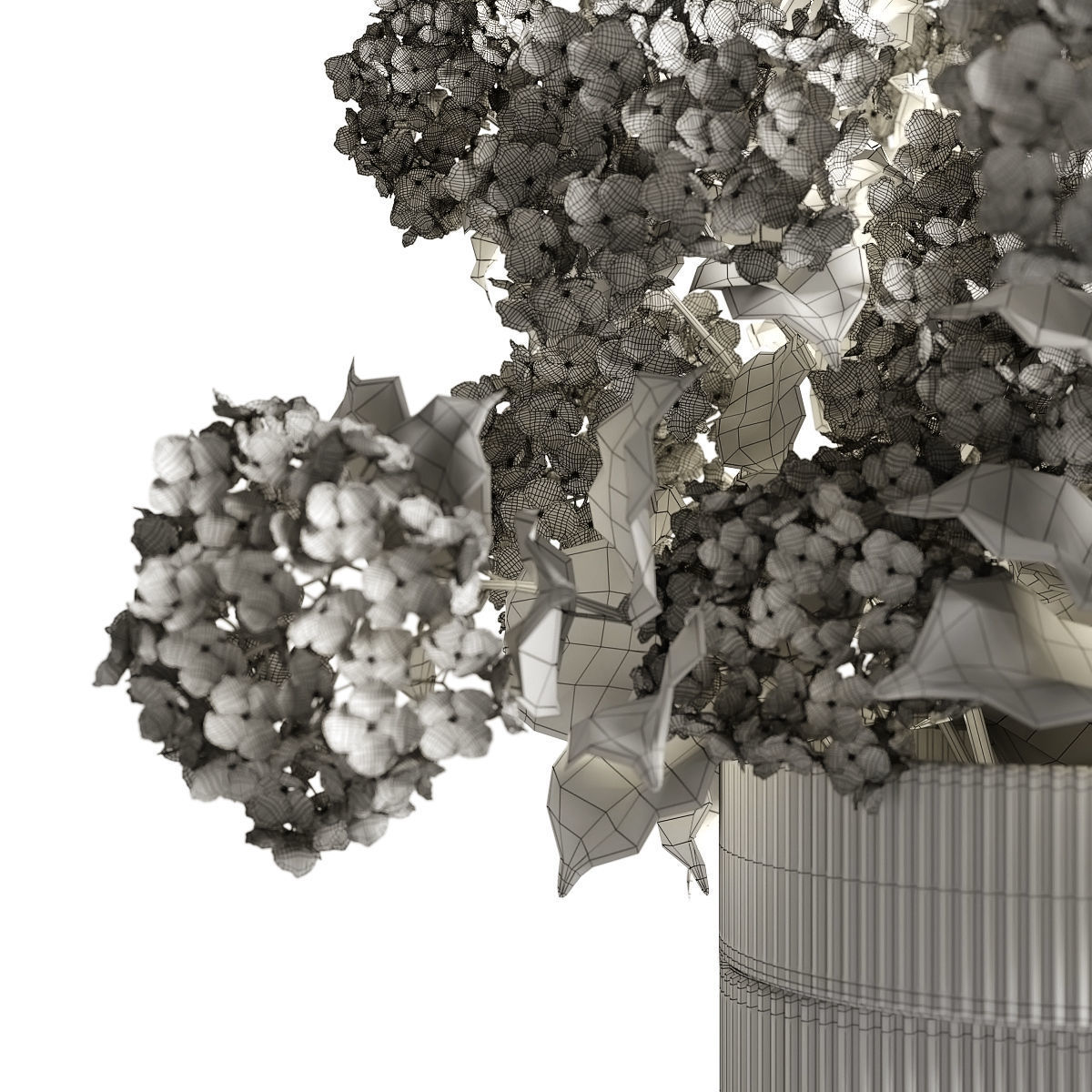 Hydrangea in ripple vase 3D model | CGTrader