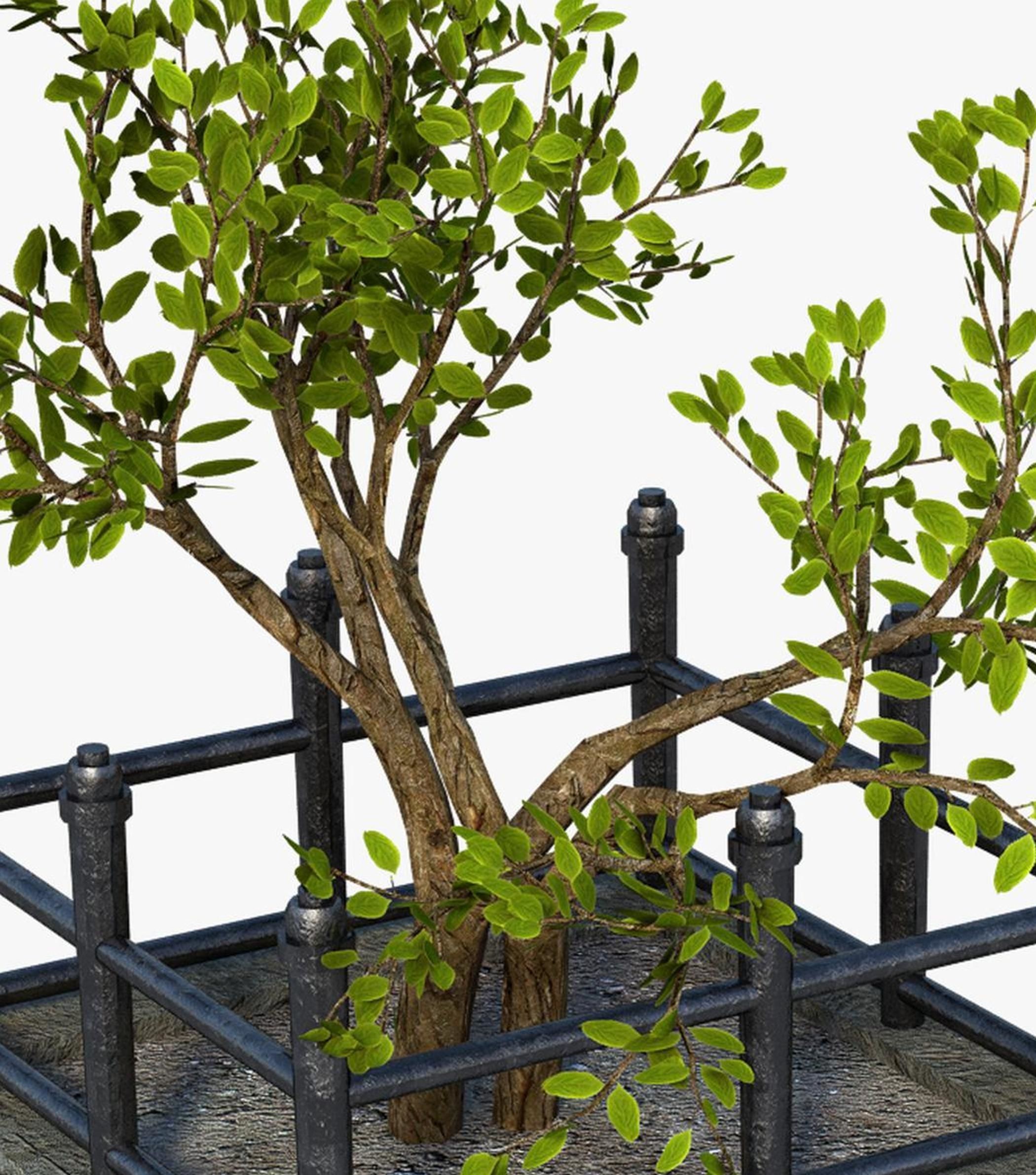 Modern Landscape Plant Green 3D model | CGTrader