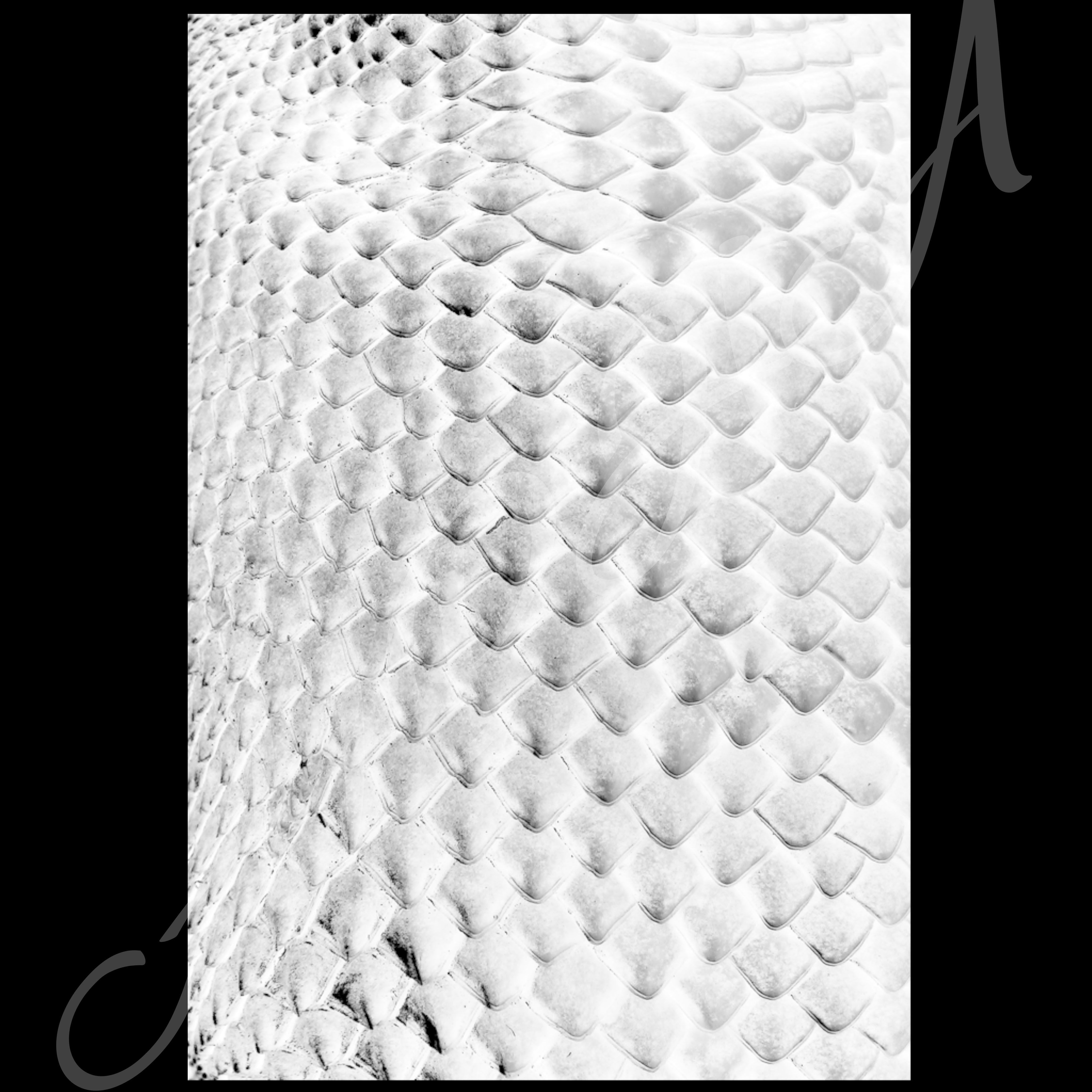 Skin 360 Alpha Patterns 4K Size Full Pack Texture | CGTrader