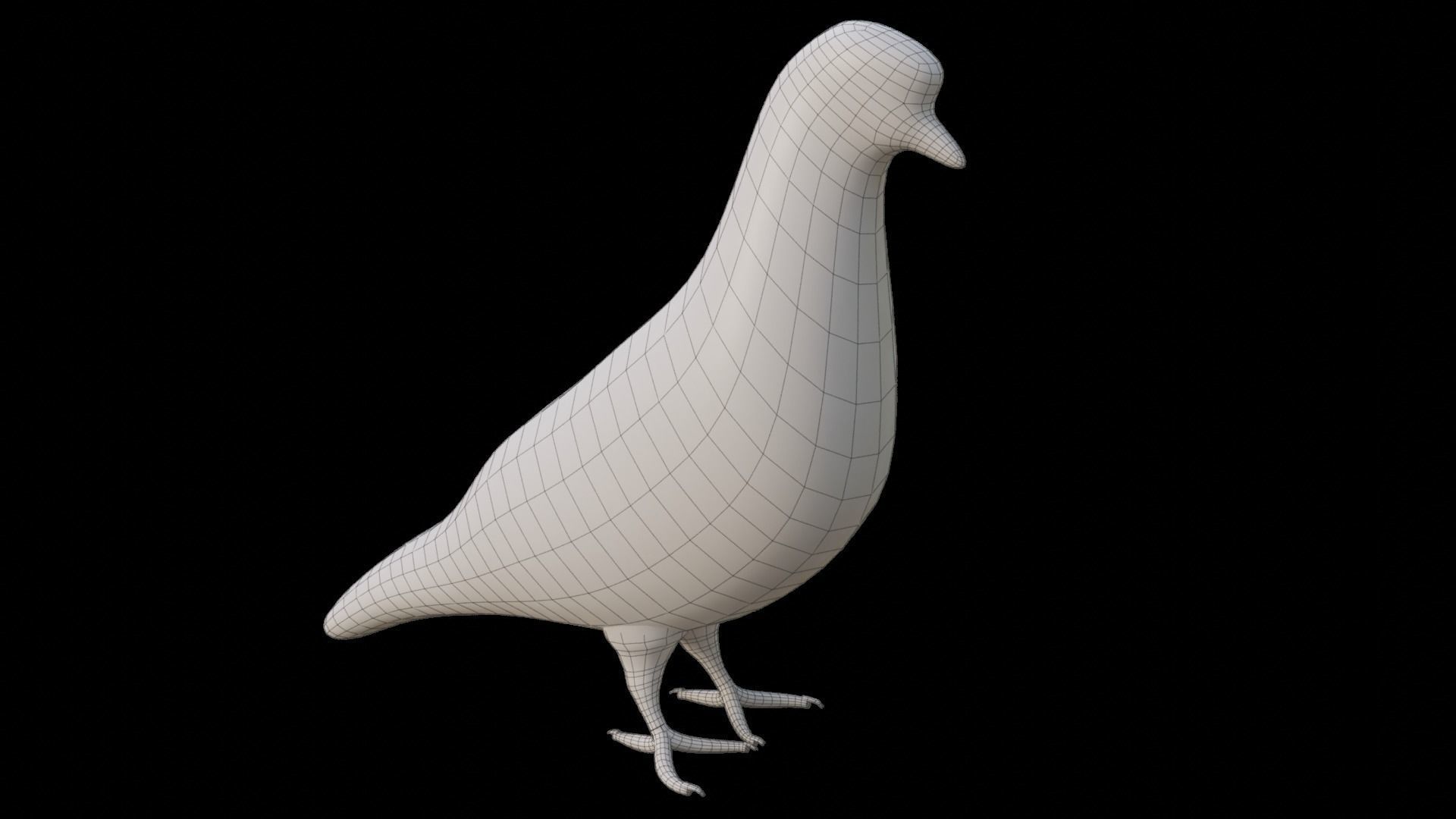 3D model Pigeon VR / AR / low-poly | CGTrader