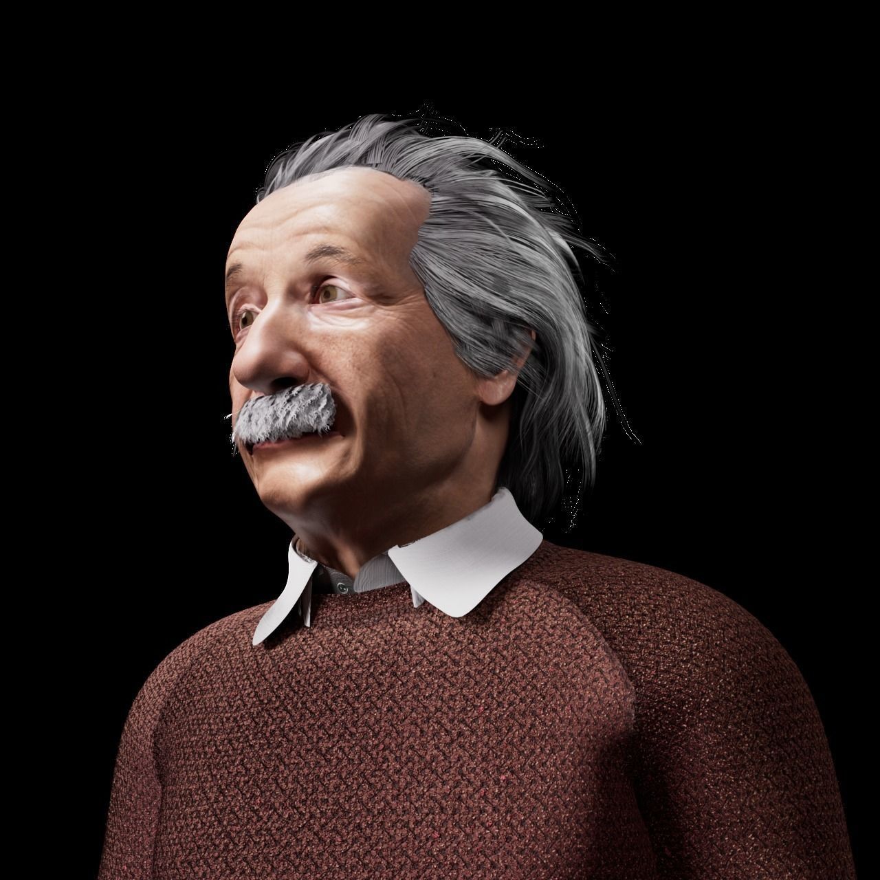 Albert Einstein 3D Model 3D model animated rigged | CGTrader